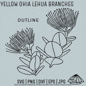 Yellow Ohia Lehua Branches SVG - Ohia Lehua Clip Art - Hawaii SVG ...