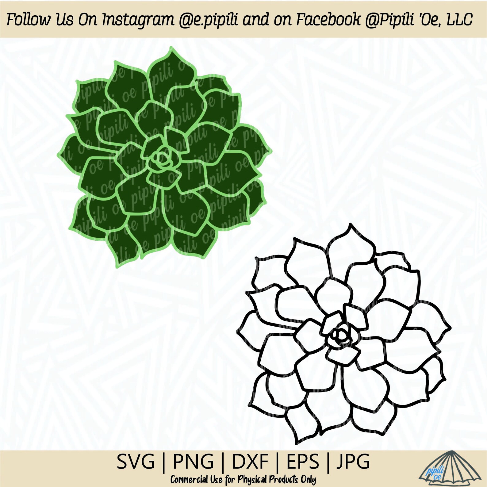 Succulent SVG Succulent Clip Art Succulent Png Digital | Etsy