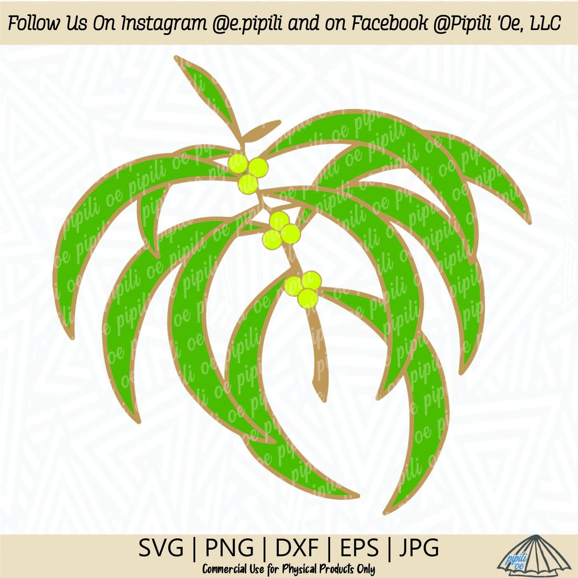 Acacia Koa SVG Koa Tree SVG Koa SVG Hawaii Tree Svg - Etsy