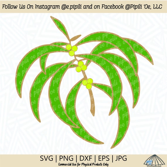 Acacia Koa SVG Koa Tree SVG Koa SVG Hawaii Tree Svg | Etsy UK