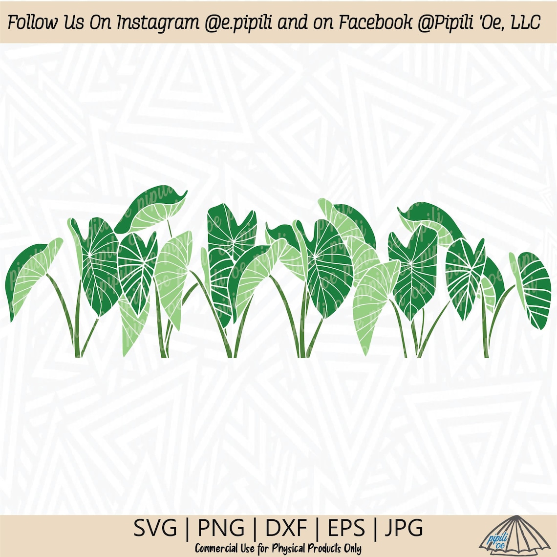 Kalo Plant Border Color SVG - Taro Plant SVG - Hawaii Plant SVG ...