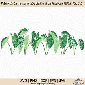 Kalo Plant Border Color SVG - Taro Plant SVG - Hawaii Plant SVG ...