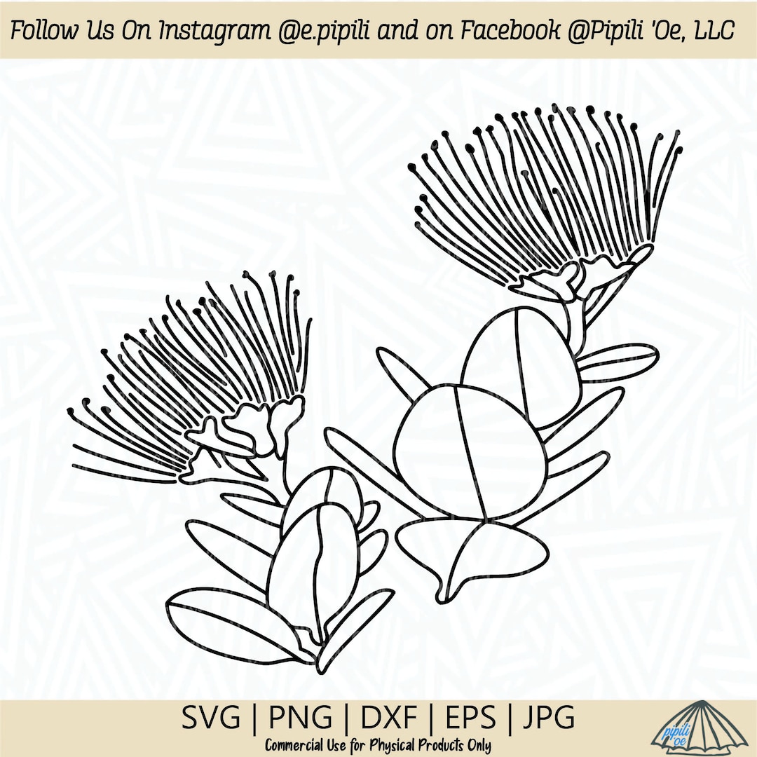 Ohia Lehua Branches Outline SVG - Ohia Lehua Flower SVG - Hawaii Flower ...