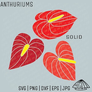 Anthurium SVG - Flower SVG - Plant SVG - Floral Design Svg - Anthurium ...