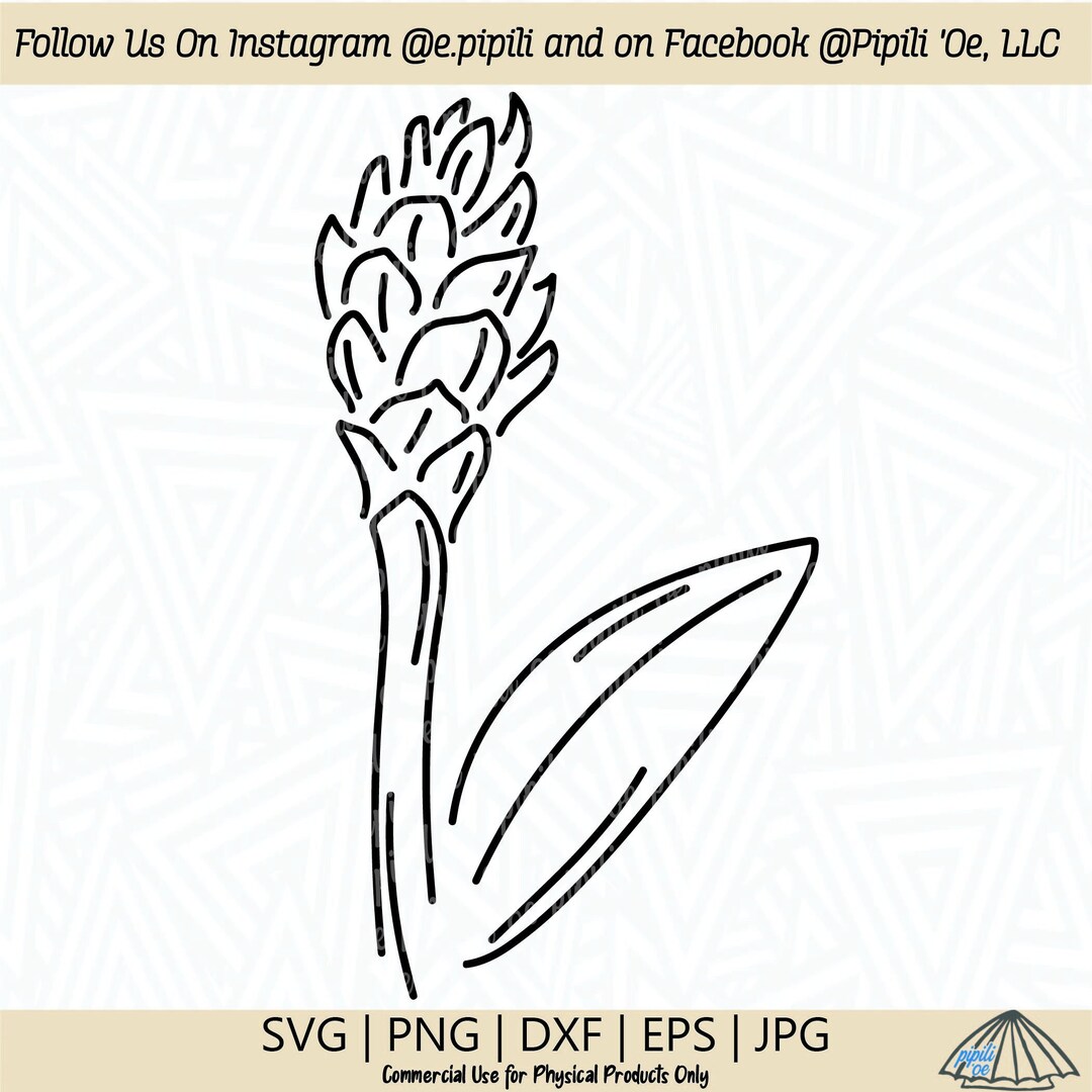 Ginger Flower Line Art SVG - Red Ginger Flower SVG - Tropical Flower ...