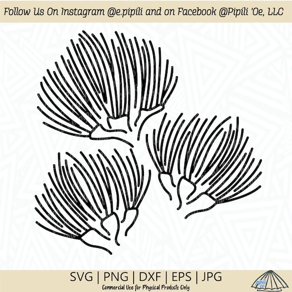 Ohia Lehua Line Art SVG Ohia Lehua SVG Lehua Flower SVG - Etsy Australia