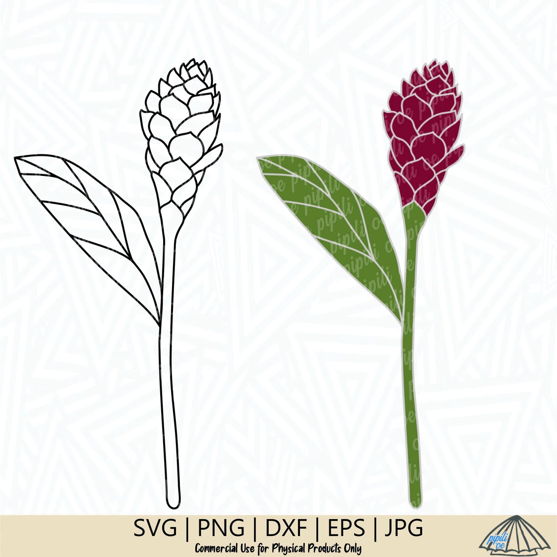 Ginger Flower SVG - Flower SVG - Plant SVG - Ginger Flower Clip Art ...