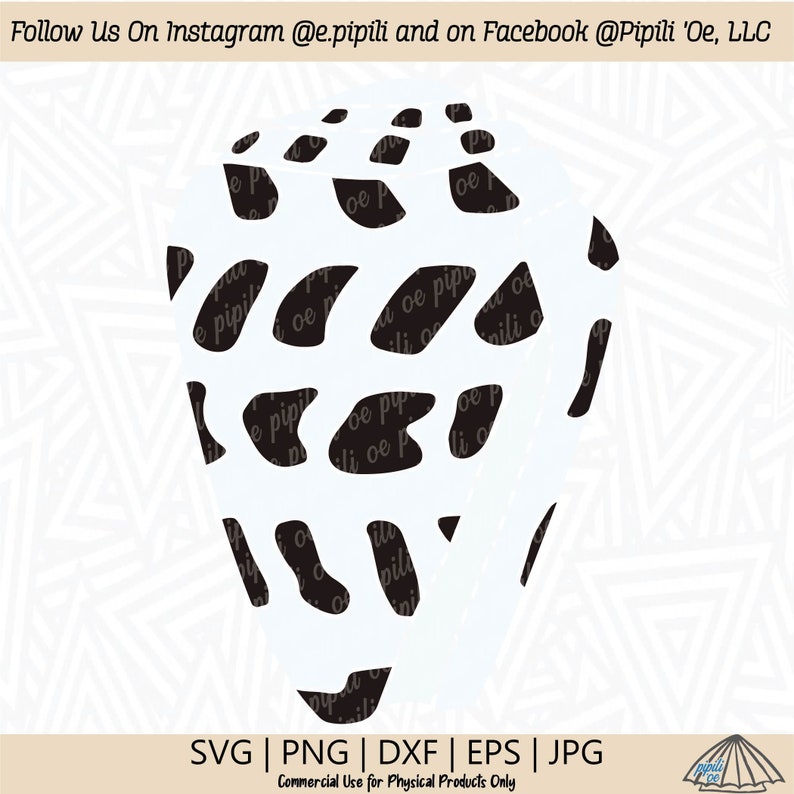 Hebrew Cone Shell SVG - Beach Shell SVG - Shell SVG - Digital Download ...
