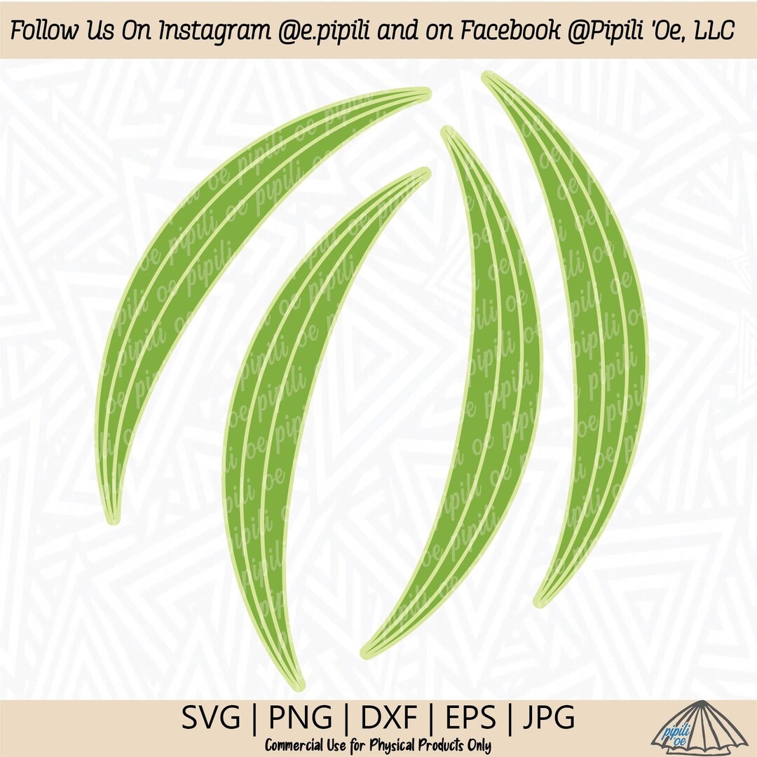 Koa Leaves SVG - Koa Leaf Clip Art - Digital Download - Acacia Leaf SVG ...