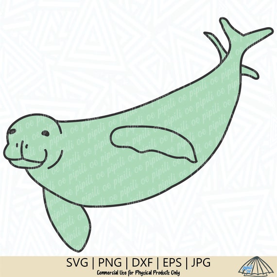 Hawaiian Monk Seal SVG Seal SVG Monk Seal Cutting File | Etsy
