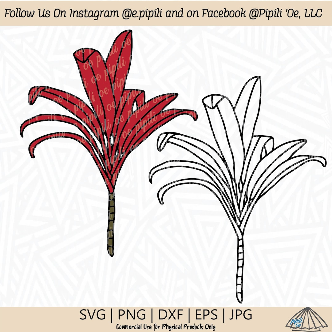 Red Ti Leaf SVG - Plant SVG - Hawaii SVG - Tropical Plant Svg - Hawaii ...