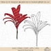 Red Ti Leaf SVG - Plant SVG - Hawaii SVG - Tropical Plant Svg - Hawaii ...