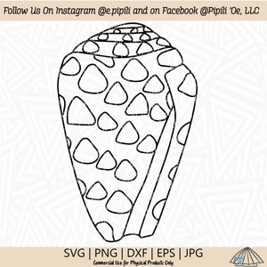 Hebrew Cone Shell SVG - Beach Shell SVG - Shell SVG - Digital Download ...