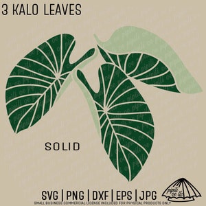 3 Kalo Leaves SVG - Kalo Leaf SVG - Hand Drawn Leaf SVG - Laser ...