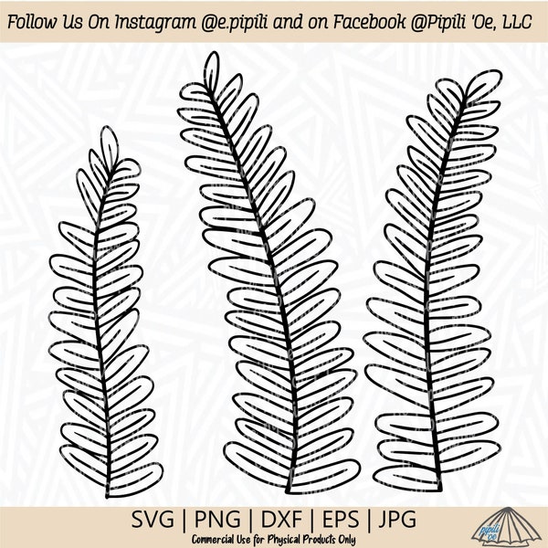 Sword Fern Plant - Etsy