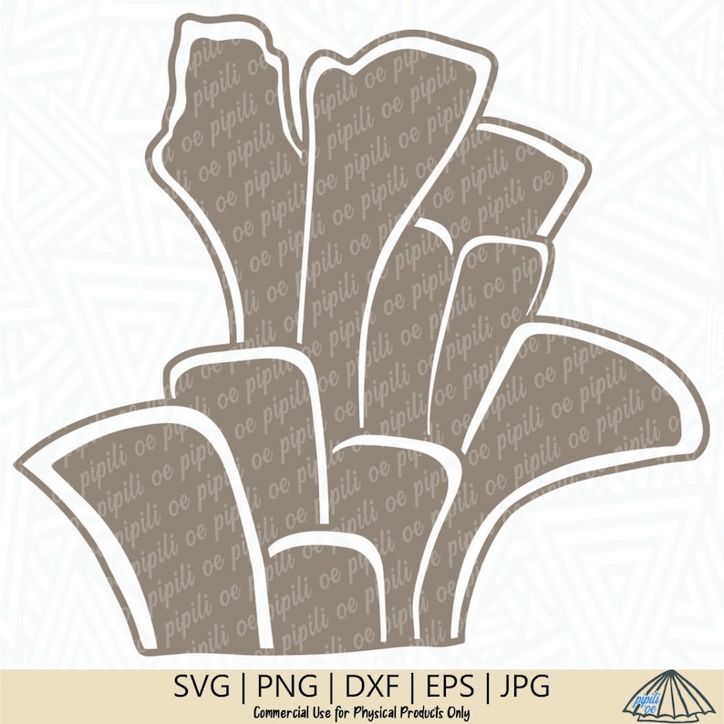 Coral Bundle SVG Coral SVG Bundle SVG Coral Cut Files - Etsy