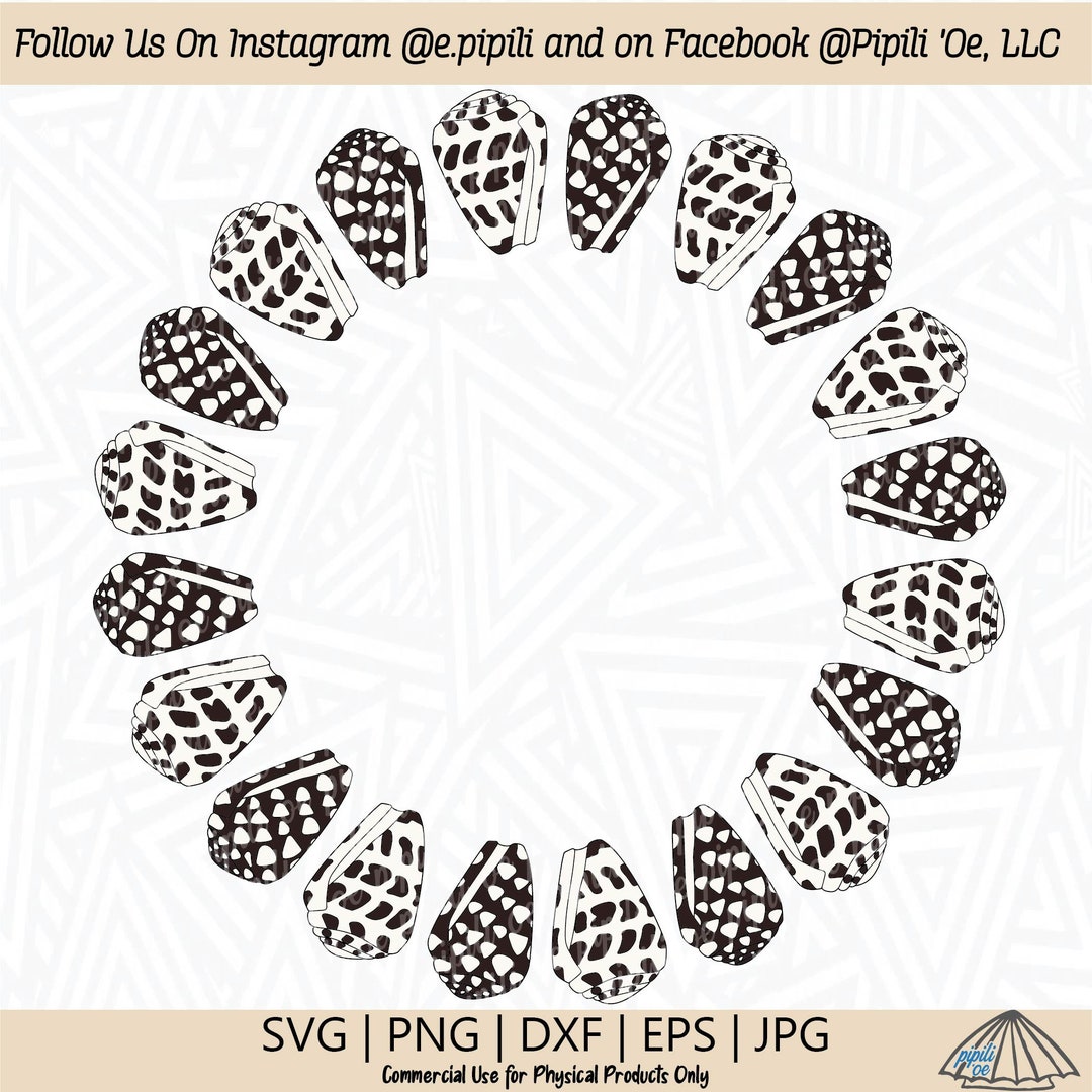 Hebrew Cone Shell Frame SVG - Beach Shell SVG - Shell SVG - Digital ...