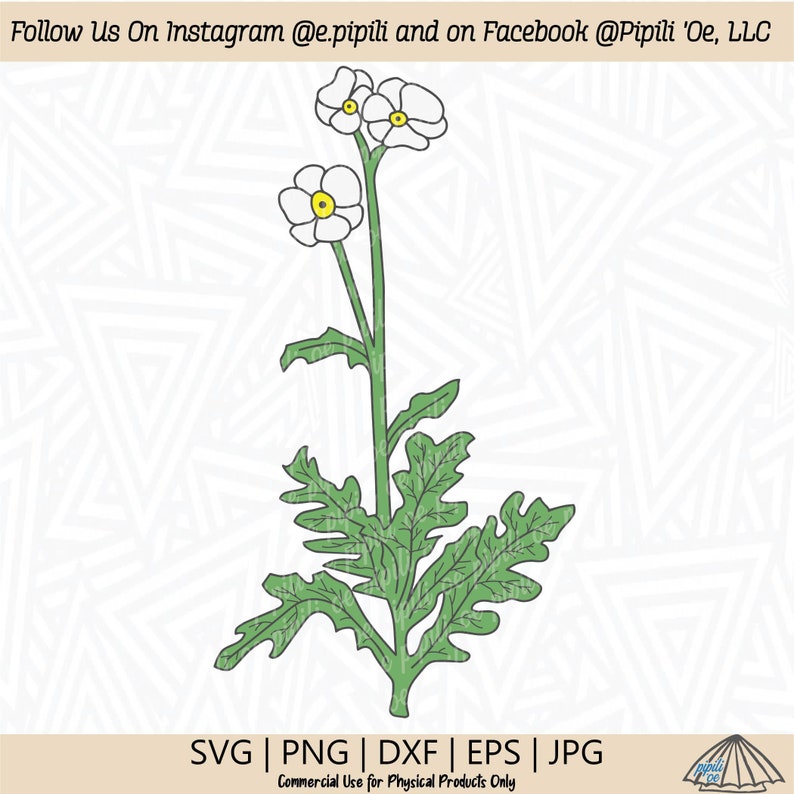 Pua Kala Plant SVG Flower SVG Hawaiian Poppy SVG Digital - Etsy