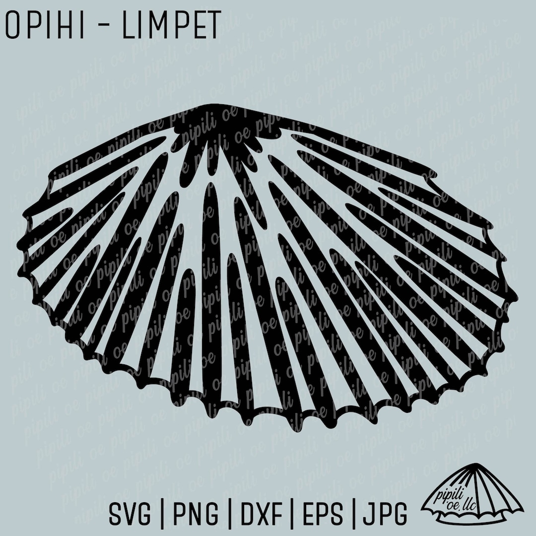 Opihi SVG - Limpet SVG - Hawaii SVG - Opihi Clip Art - Opihi Cut File ...