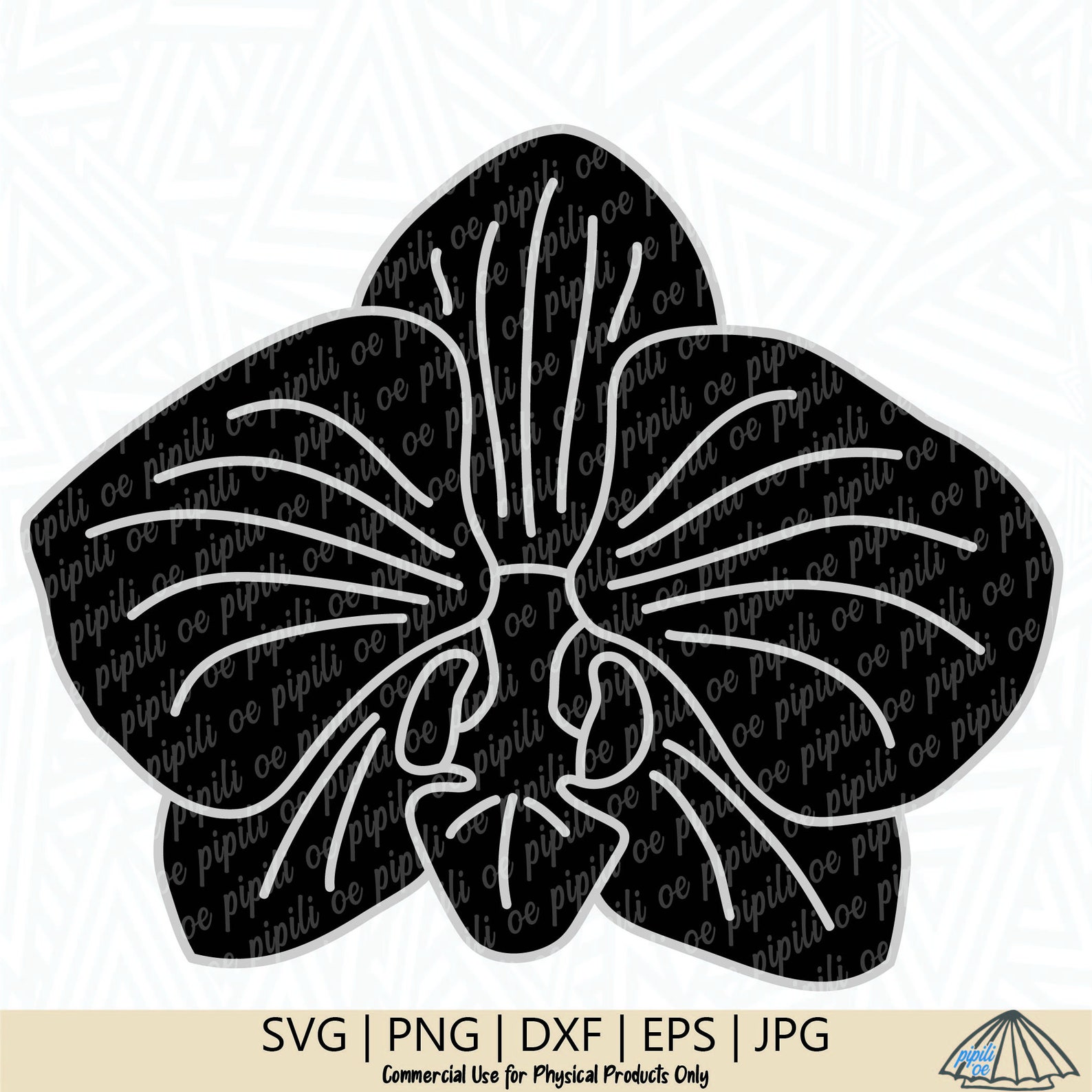 Orchid SVG - Flower SVG - Plant SVG - Orchid Png - Orchid Cut File ...