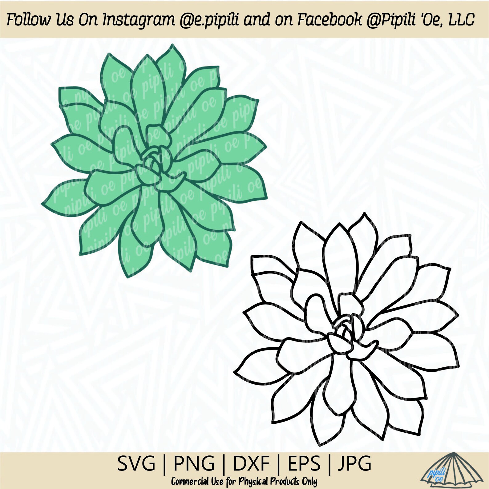Succulent SVG Succulent Clip Art Succulent Png Digital | Etsy