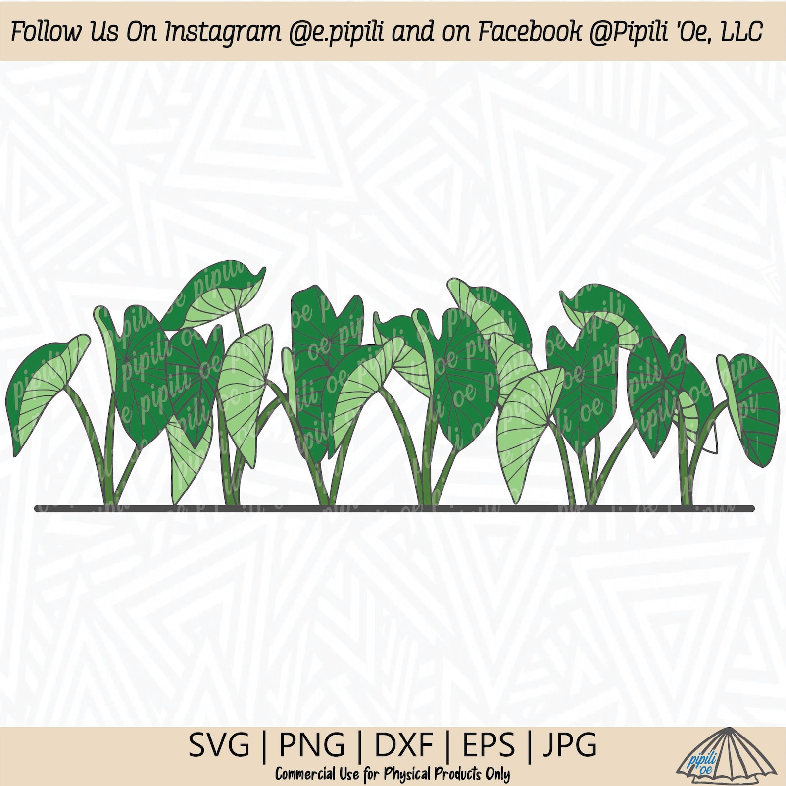 Kalo Plant Border Color SVG Taro Plant SVG Hawaii Plant - Etsy