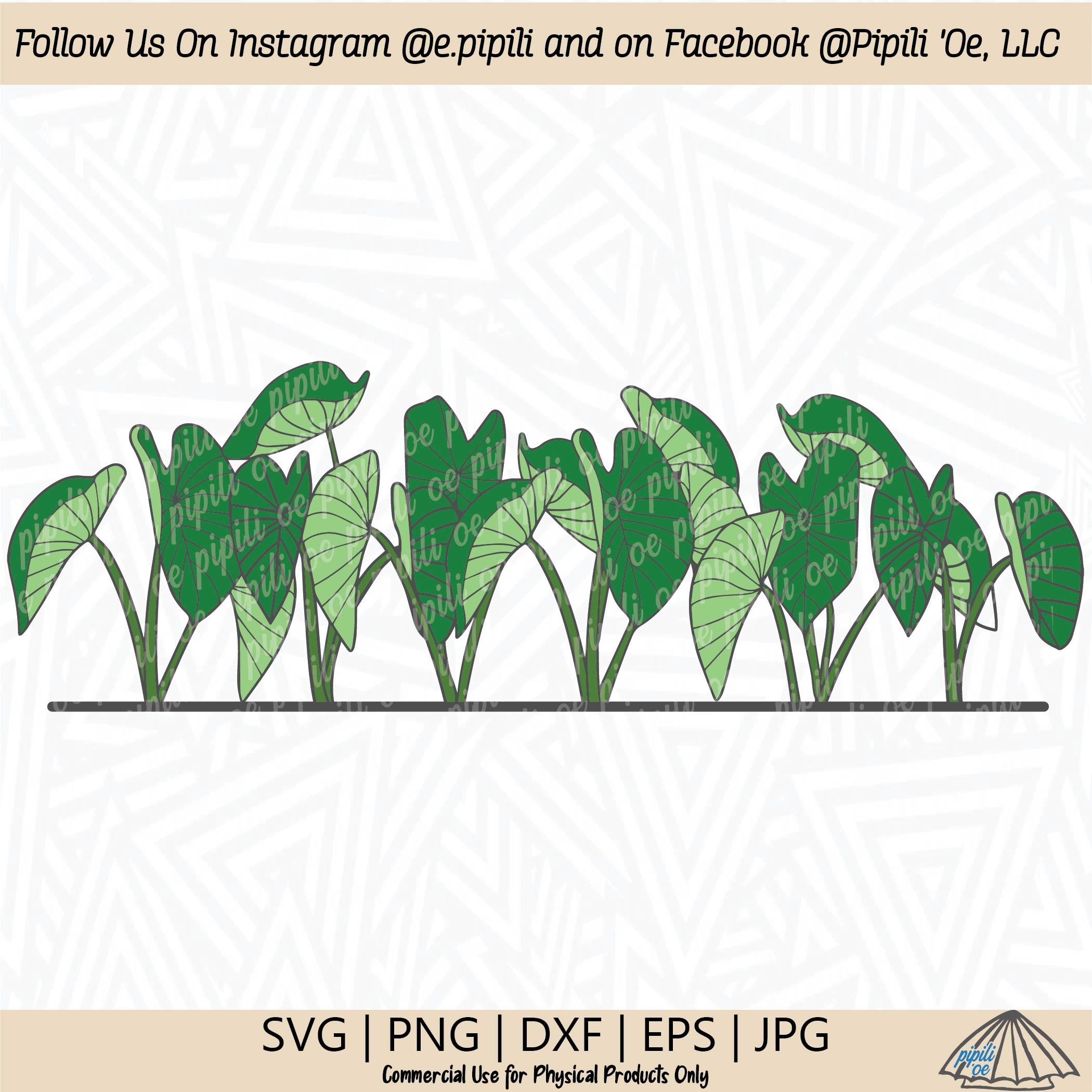 Kalo Plant Border Color SVG Taro Plant SVG Hawaii Plant - Etsy Australia