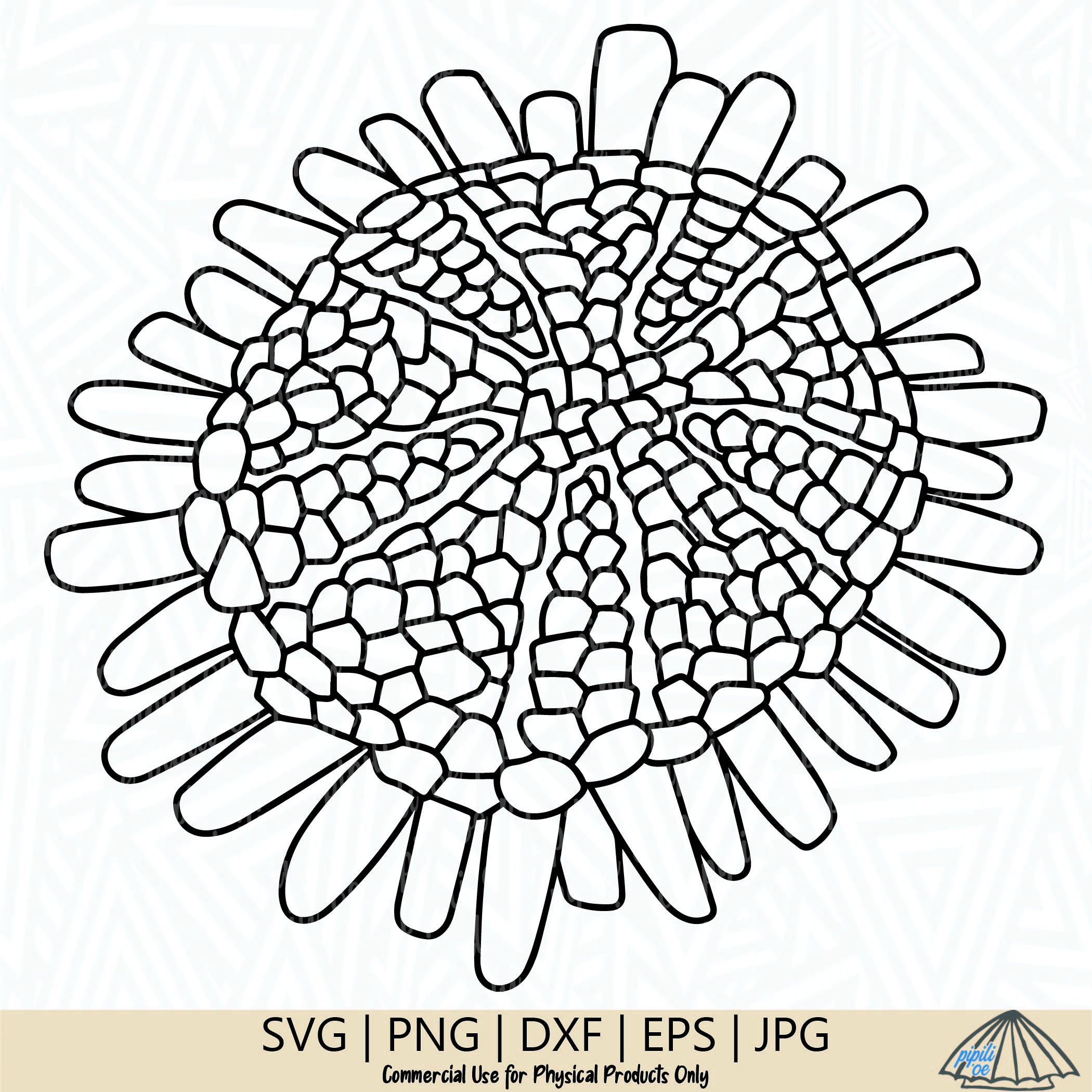 Helm Urchin Haukeuke SVG Zee-egels SVG Haukeuke SVG - Etsy Nederland