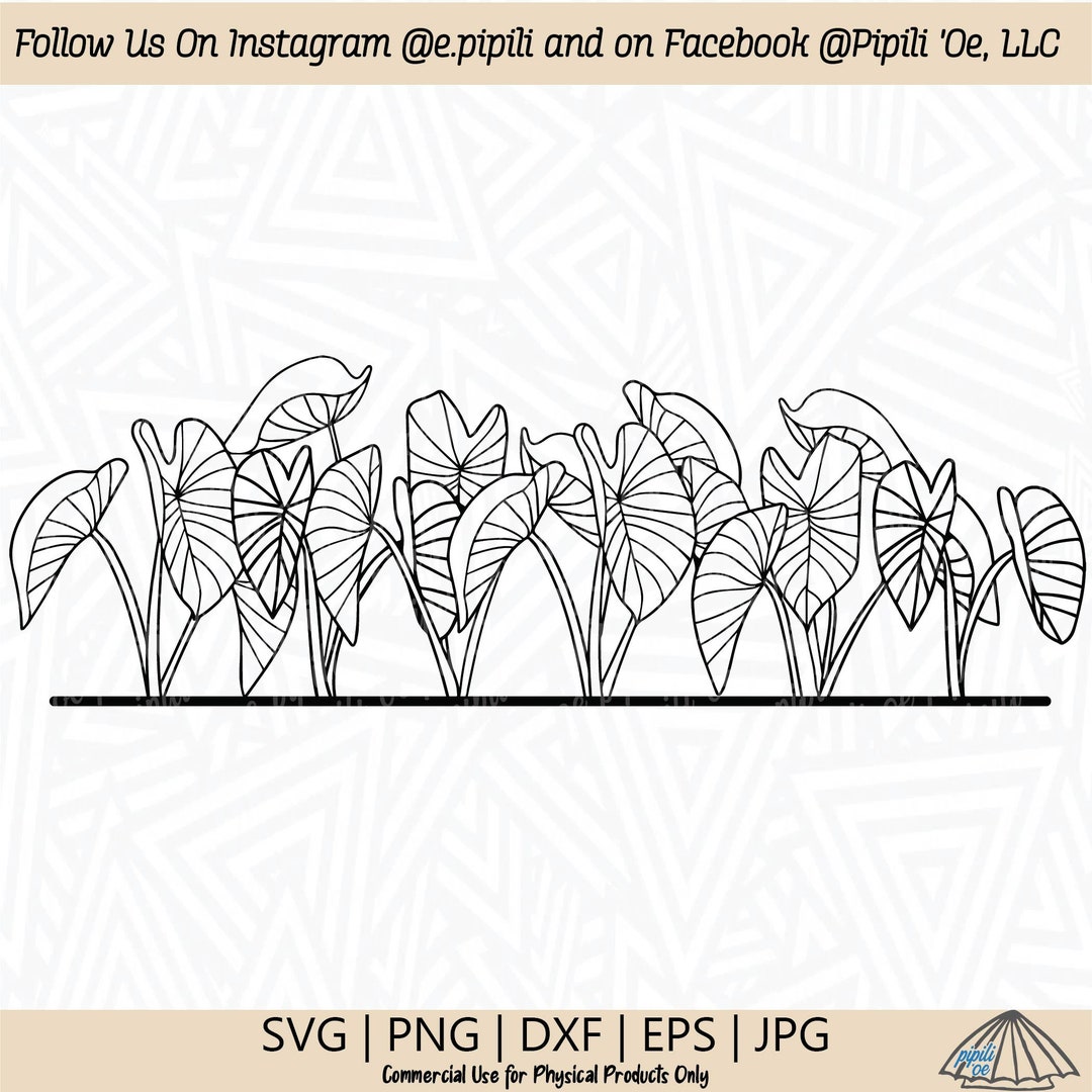 Buy Kalo Plant Border SVG - Taro Plant SVG - Hawaii Plant SVG - Digital ...