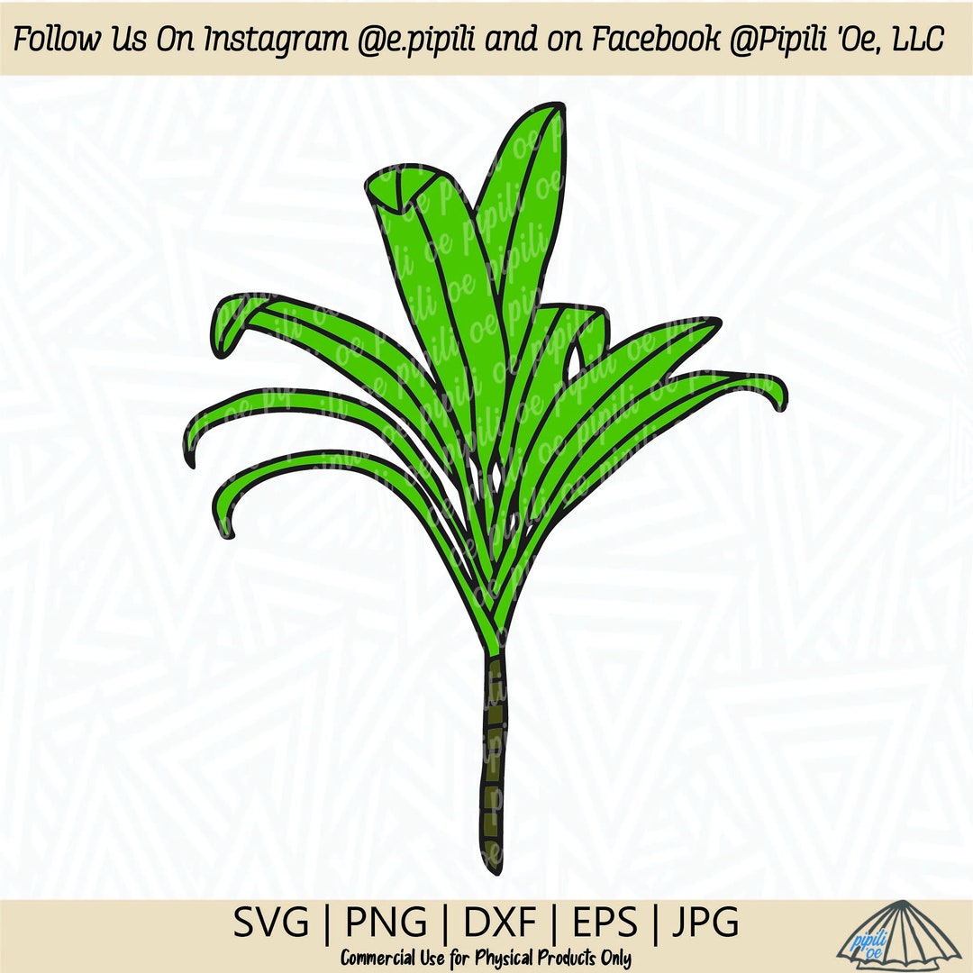 Ti Leaf SVG - Plant SVG - Hawaii SVG - Tropical Plant Svg - Hawaii ...