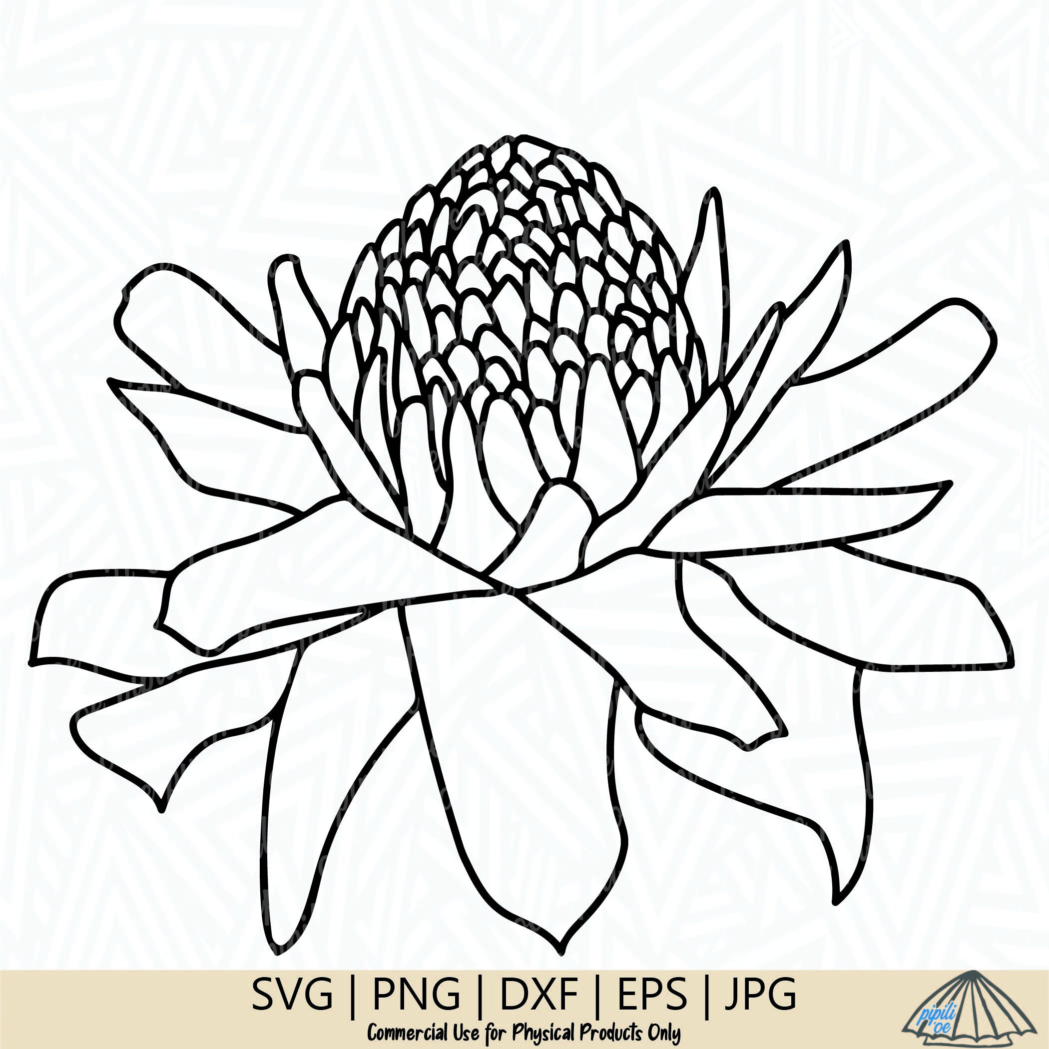 Torch Ginger SVG - Ginger SVG - Plant SVG - Flower Svg - Plant Cut File ...