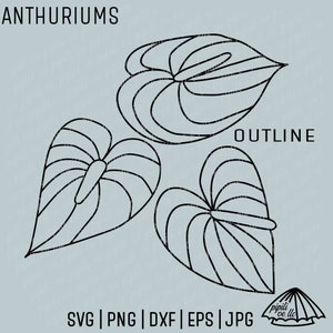Anthurium SVG - Flower SVG - Plant SVG - Floral Design Svg - Anthurium ...