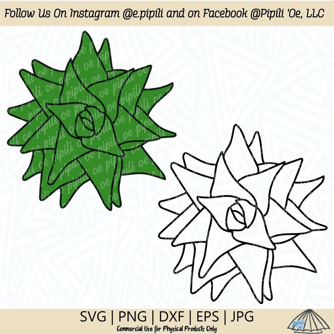 Succulent SVG Succulent Clip Art Succulent Png Digital | Etsy