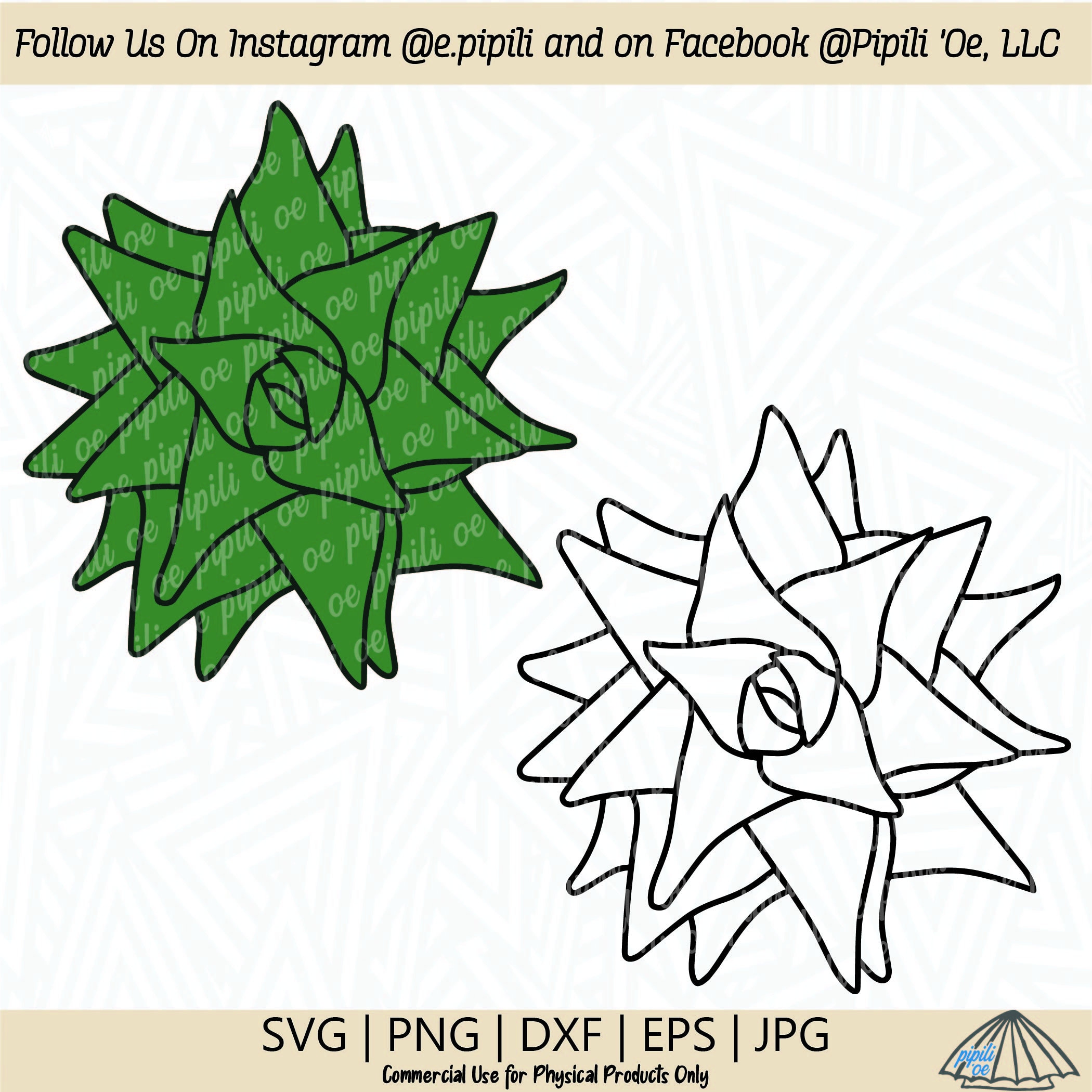 Succulent SVG Succulent Clip Art Succulent Png Digital | Etsy