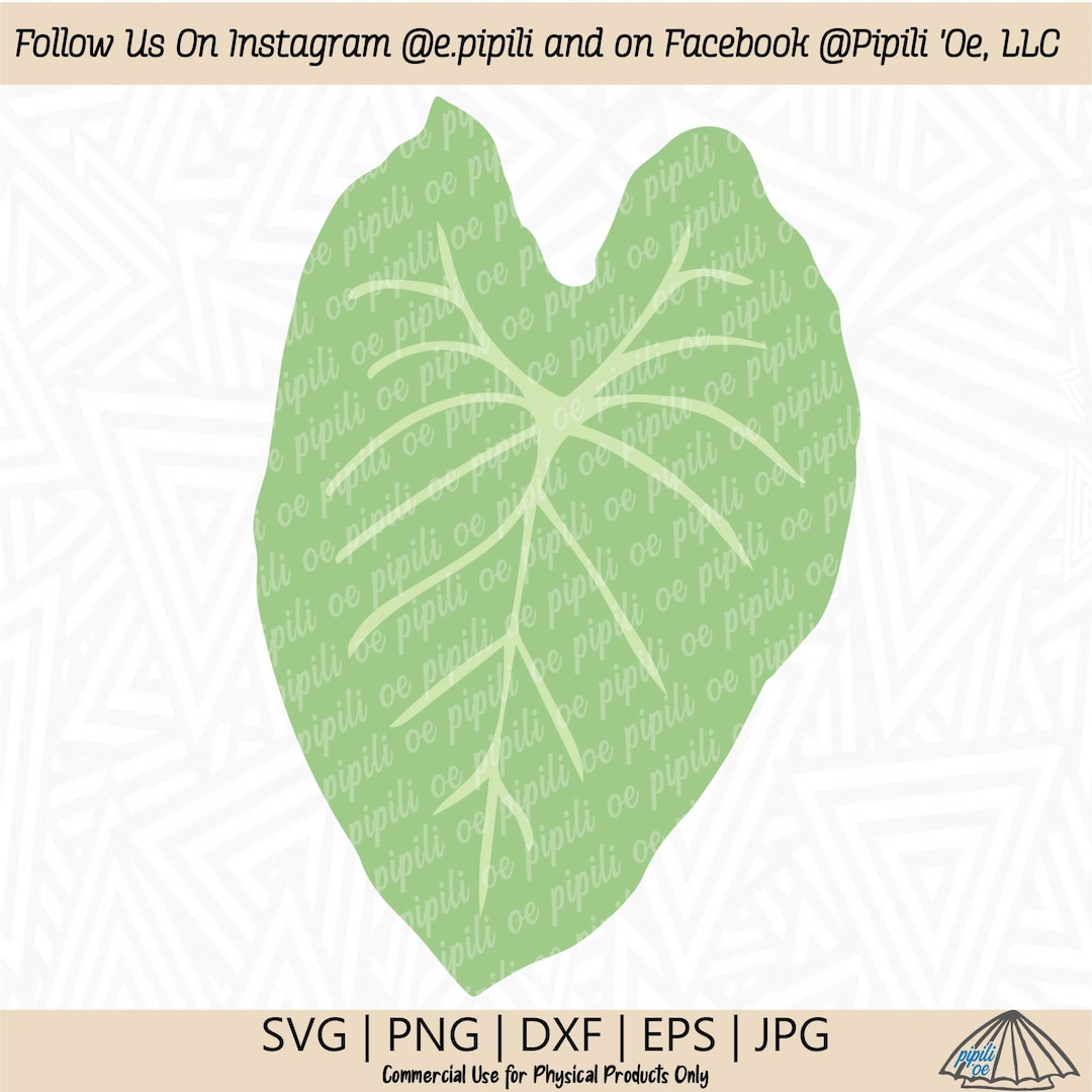Leaf SVG - Taro Leaf SVG - SVG Cut File - Kalo Leaf Svg - Taro Plant ...