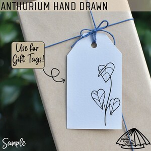 Anthuriums Hand Drawn SVG - Anthurium Line Art SVG - Botanical SVG ...