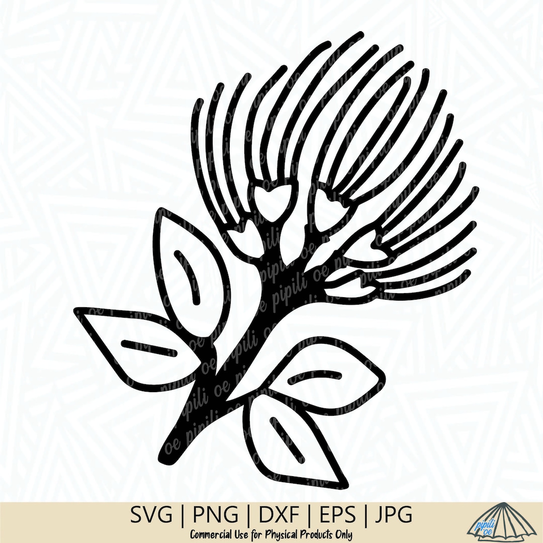 Flower SVG - Hawaii SVG - Ohia Lehua SVG - Lehua Flower - Digital ...