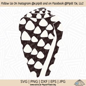 Hebrew Cone Shell SVG - Beach Shell SVG - Shell SVG - Digital Download ...