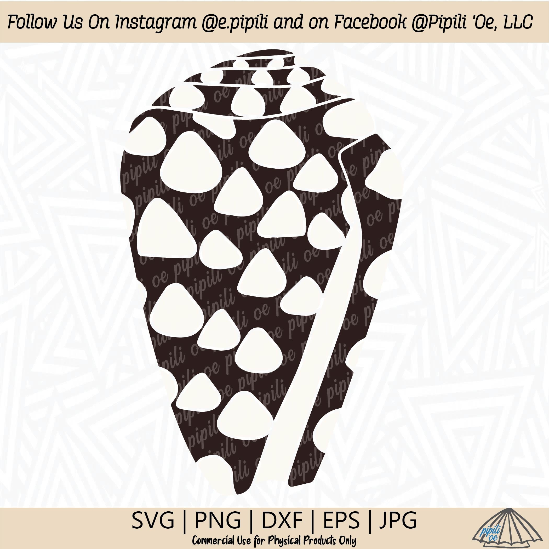 Hebrew Cone Shell SVG Beach Shell SVG Shell SVG Digital - Etsy Australia