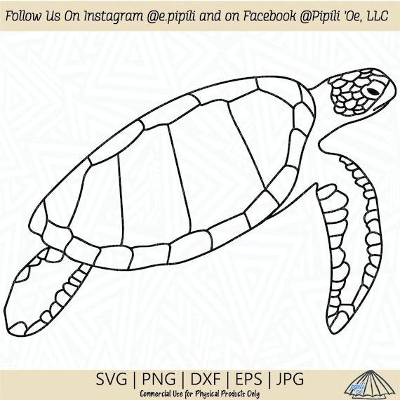 Sea Turtle Side View