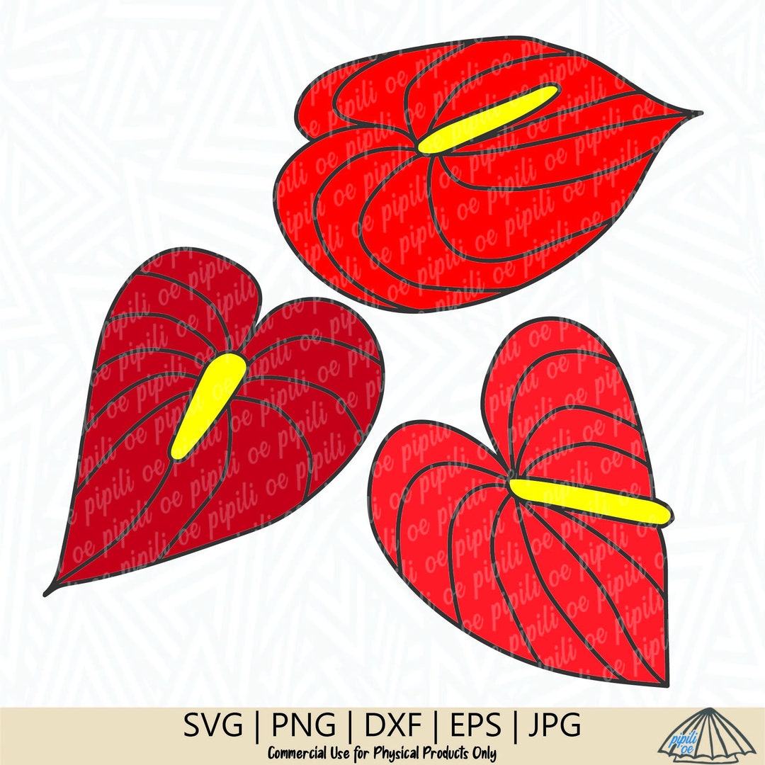 Anthurium SVG Flower SVG Plant SVG Anthurium Cutting File Anthurium ...