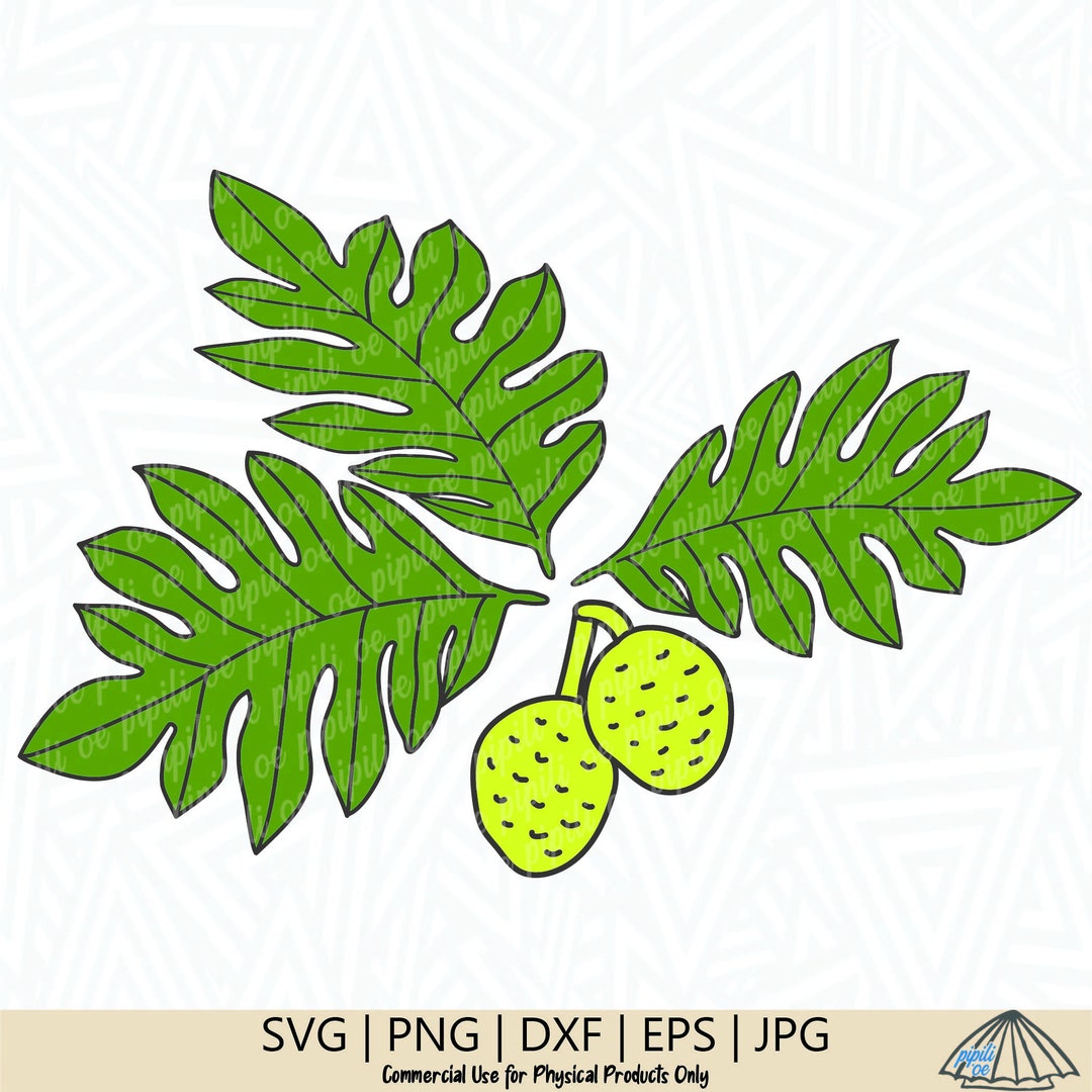 Ulu - Breadfruit SVG - Plant SVG - Ulu SVG - Breadfruit Svg - Ulu Cut ...