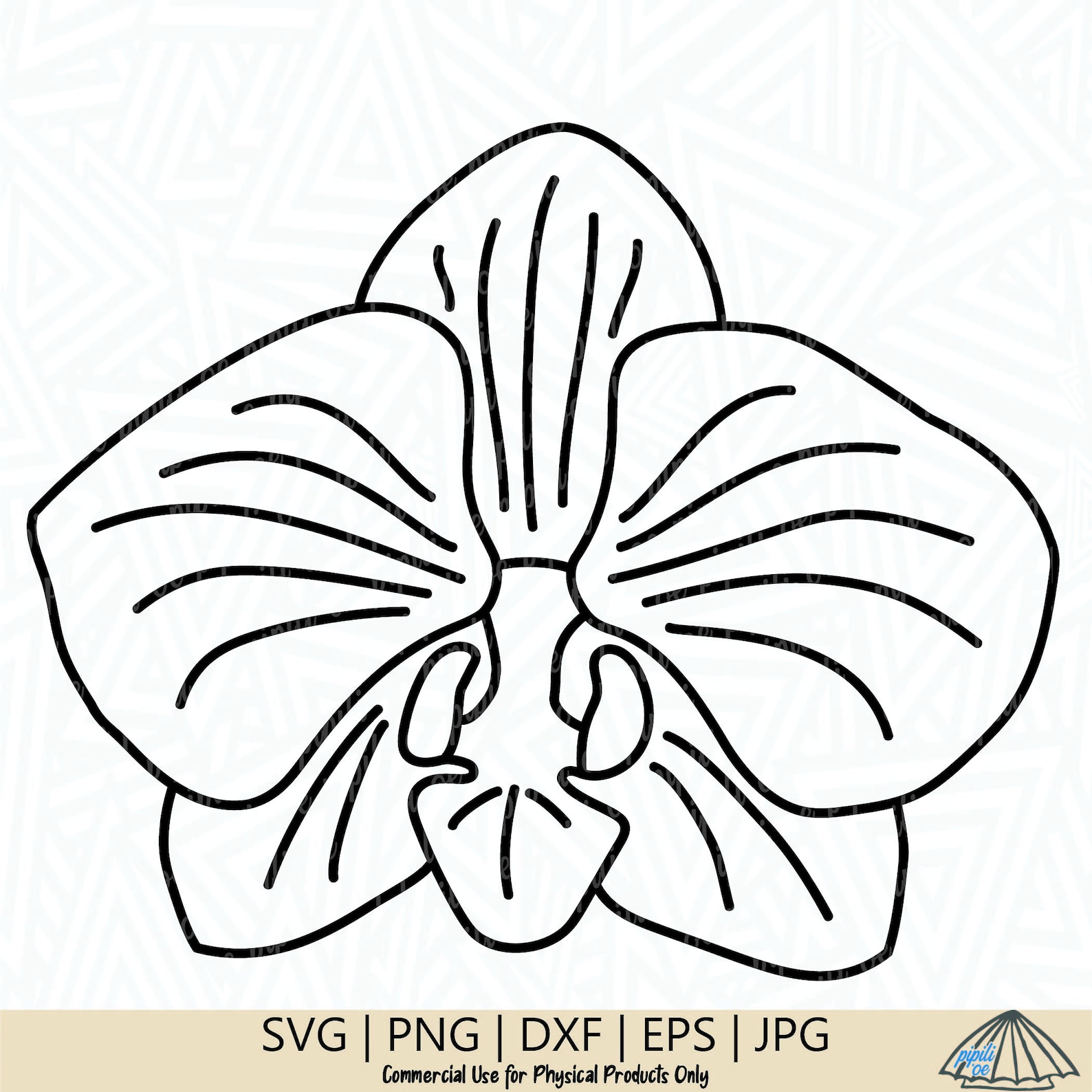 Orchid SVG Flower SVG Plant SVG Orchid Png Orchid Cut - Etsy