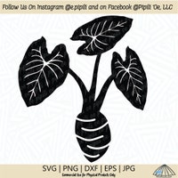 Ulu Brotfrucht SVG Pflanze SVG Ulu SVG Brotfrucht svg Ulu Schnittdatei ...