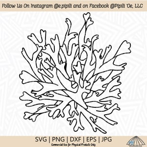 Limu - Seaweed SVG - Seaweed SVG - Limu Clip Art - Digital Download ...