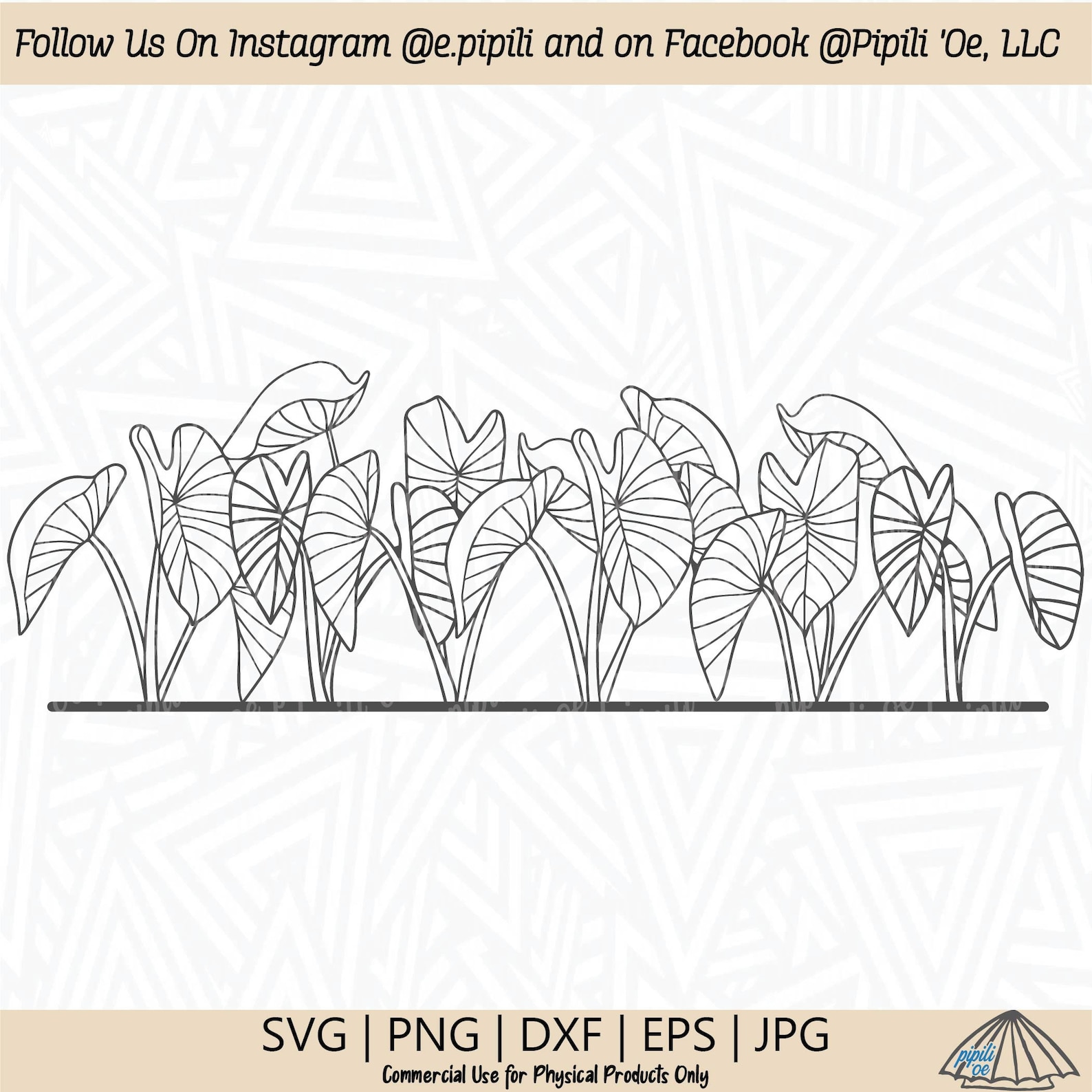 Kalo Plant Border Color SVG - Taro Plant SVG - Hawaii Plant SVG ...