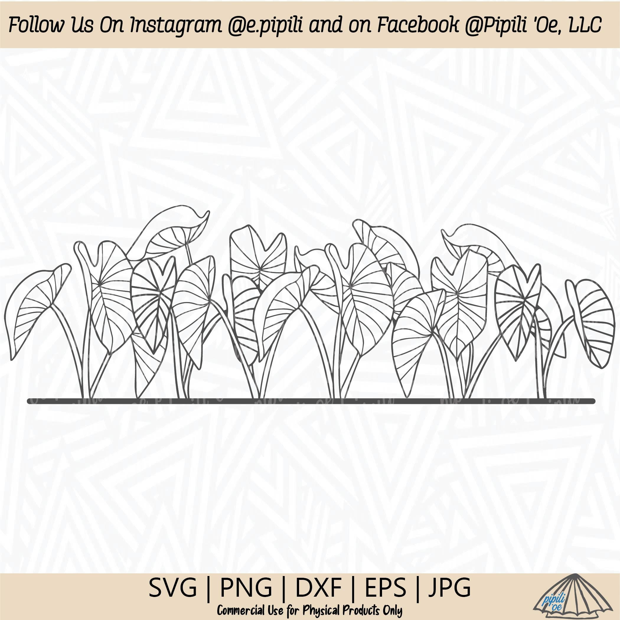 Kalo Plant Border Color SVG Taro Plant SVG Hawaii Plant - Etsy Australia