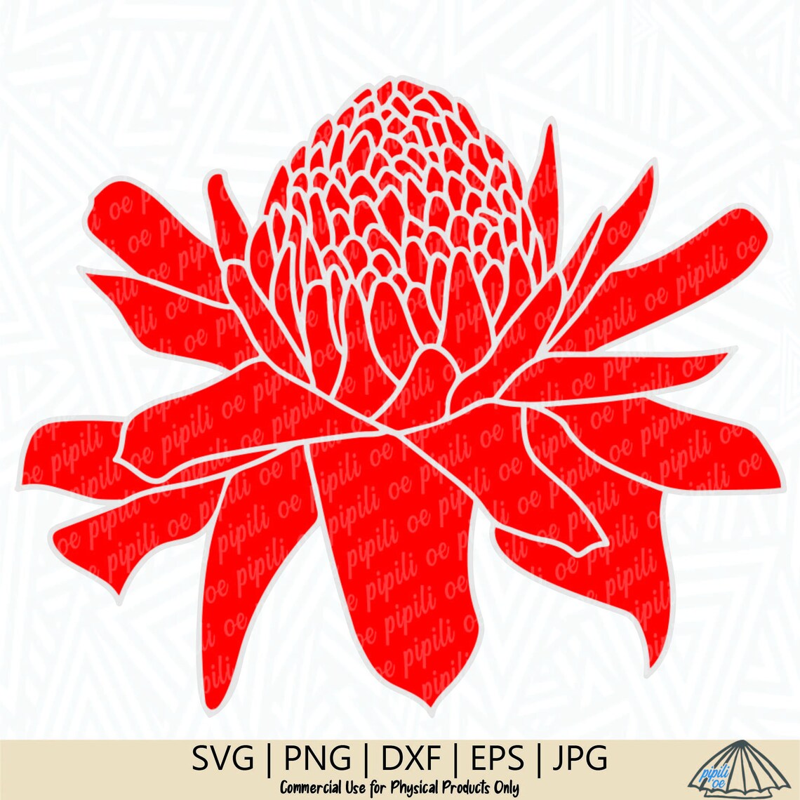 Torch Ginger SVG Ginger SVG Plant SVG Flower Svg Plant - Etsy UK
