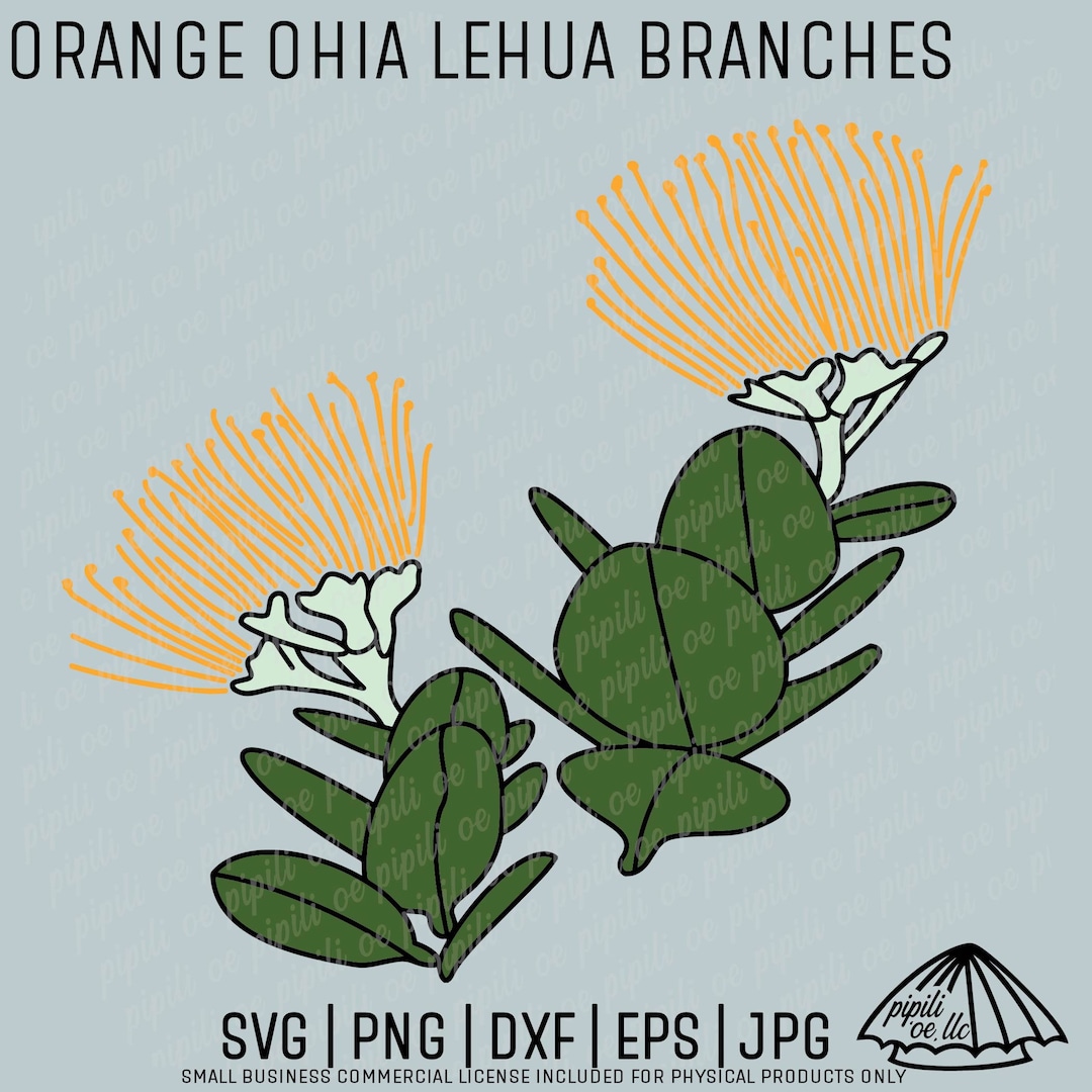 Orange Ohia Lehua Branches SVG - Ohia Lehua Clip Art - Hawaii SVG ...