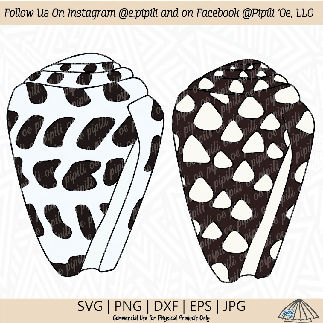 Hebrew Cone Shell SVG - Beach Shell SVG - Shell SVG - Digital Download ...